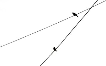 Second Line of Defense - FinCrime Intelligence